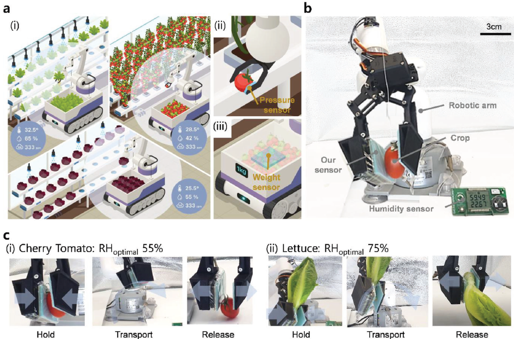 Chankyu (Charlie) Han